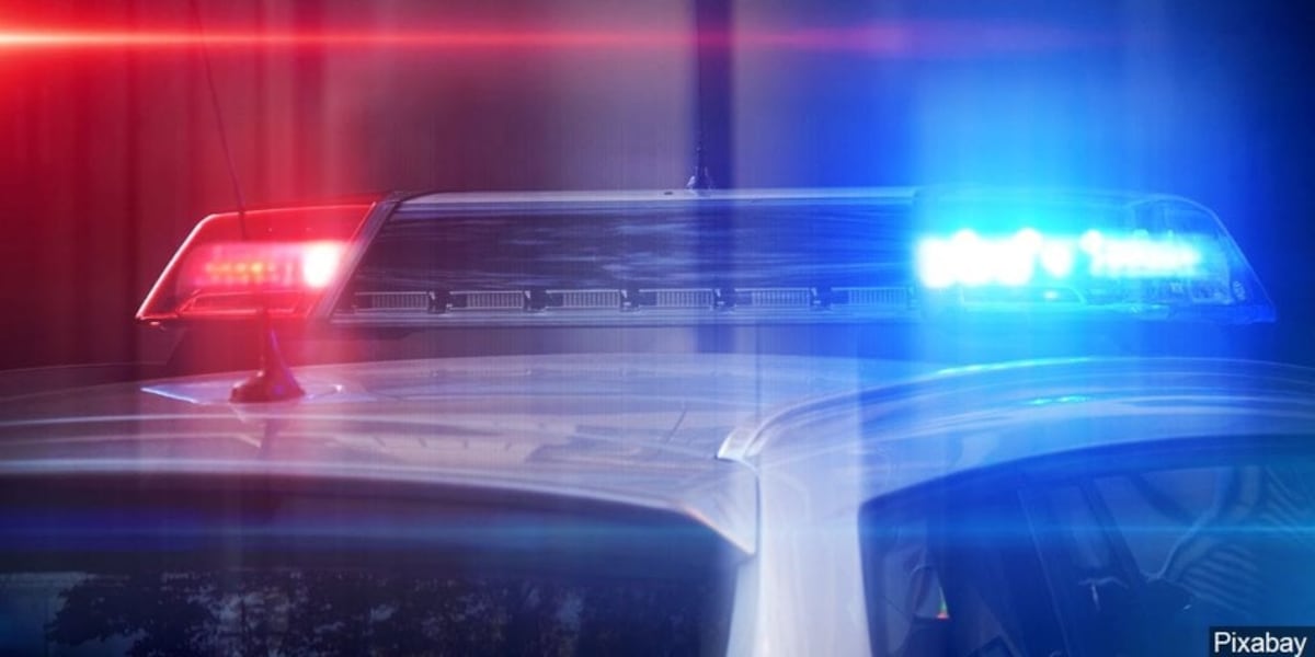 Rockford police: Man dies after being hit by vehicle Rockford police: Man dies after being hit by vehicle