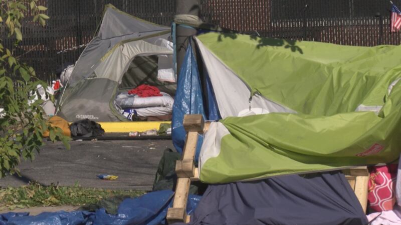 Illinois lawmakers, advocates contemplate how federal dollars could ... Illinois lawmakers, advocates contemplate how federal dollars could ...